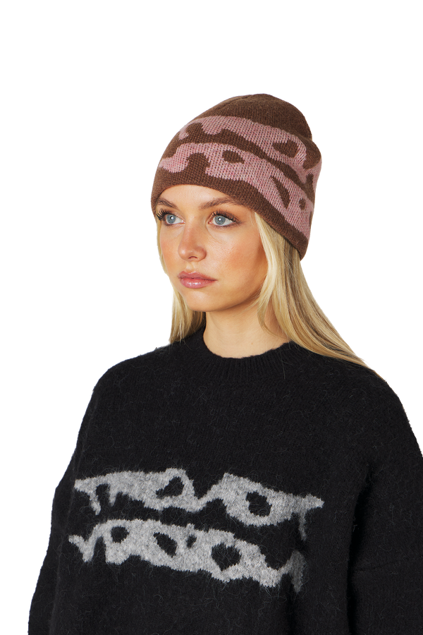 Brown Beanie – Trendt Vision